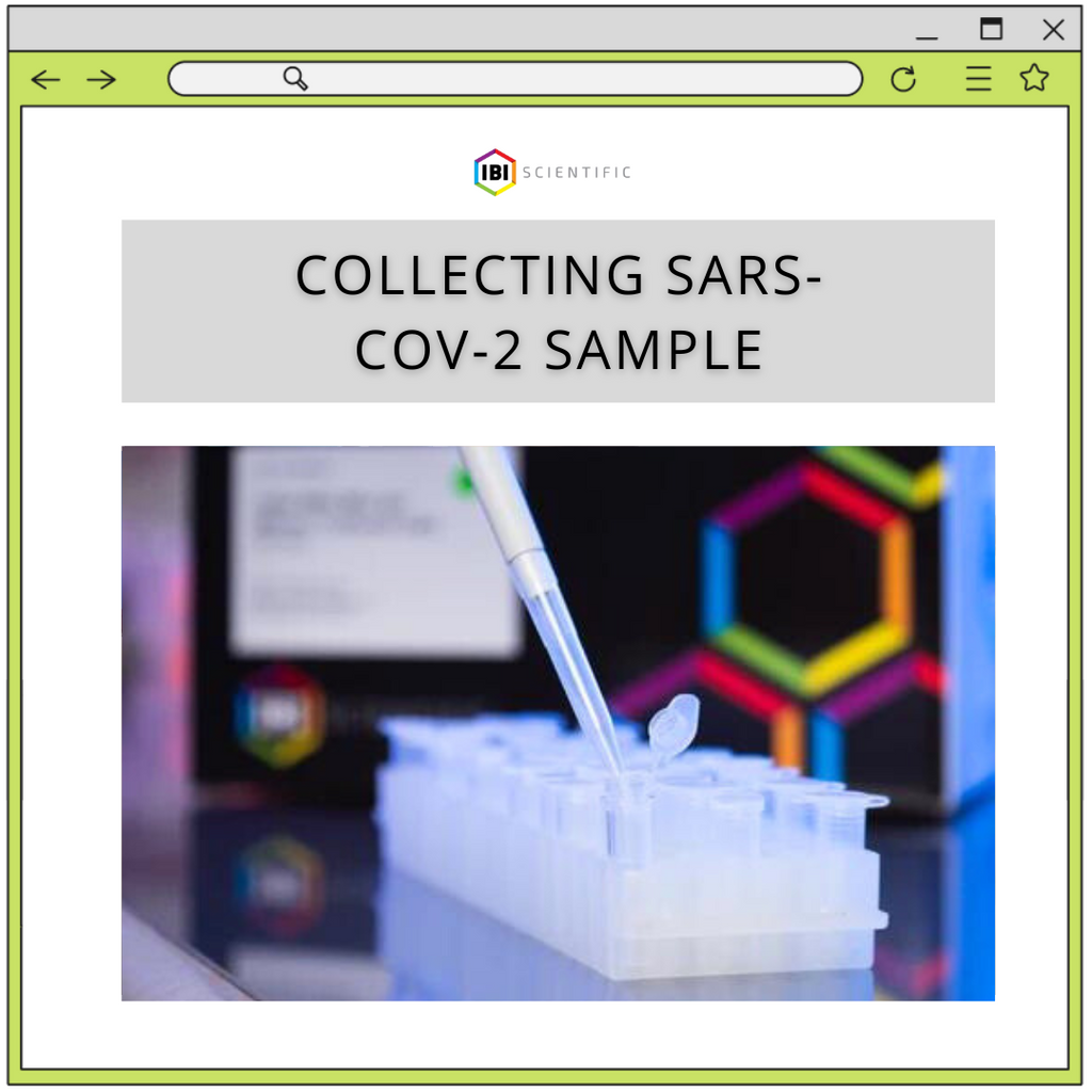 Researchers Guide to Collecting the SARS-CoV-2 Sample | IBI Scientific