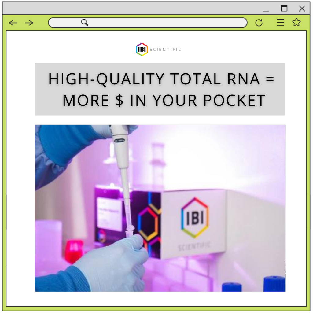 Pure, High-Quality Total RNA: More $$ in Your Pocket – IBI Scientific