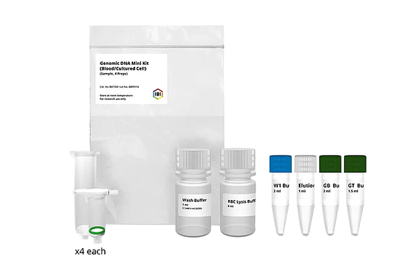 Mini Genomic DNA Kit | Blood & Cultured Cells | IBI Scientific