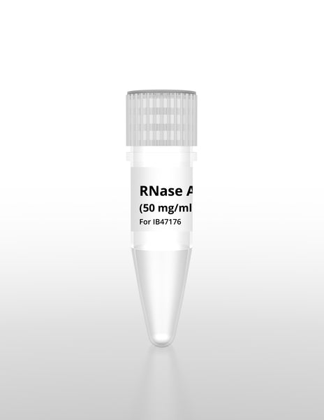 RNase A Solution | Hi-Speed Plasmid Kit | IBI Scientific