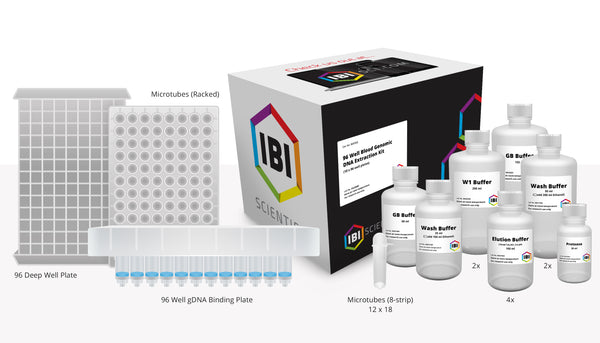 96-Well Genomic DNA Blood Kit | DNA Extraction | IBI Scientific