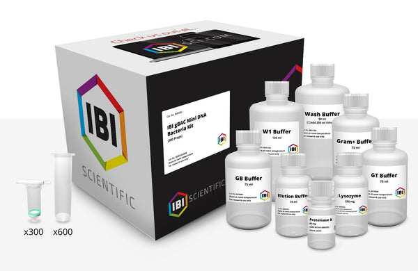 gBAC Mini Genomic DNA Kit | DNA Extraction | IBI Scientific